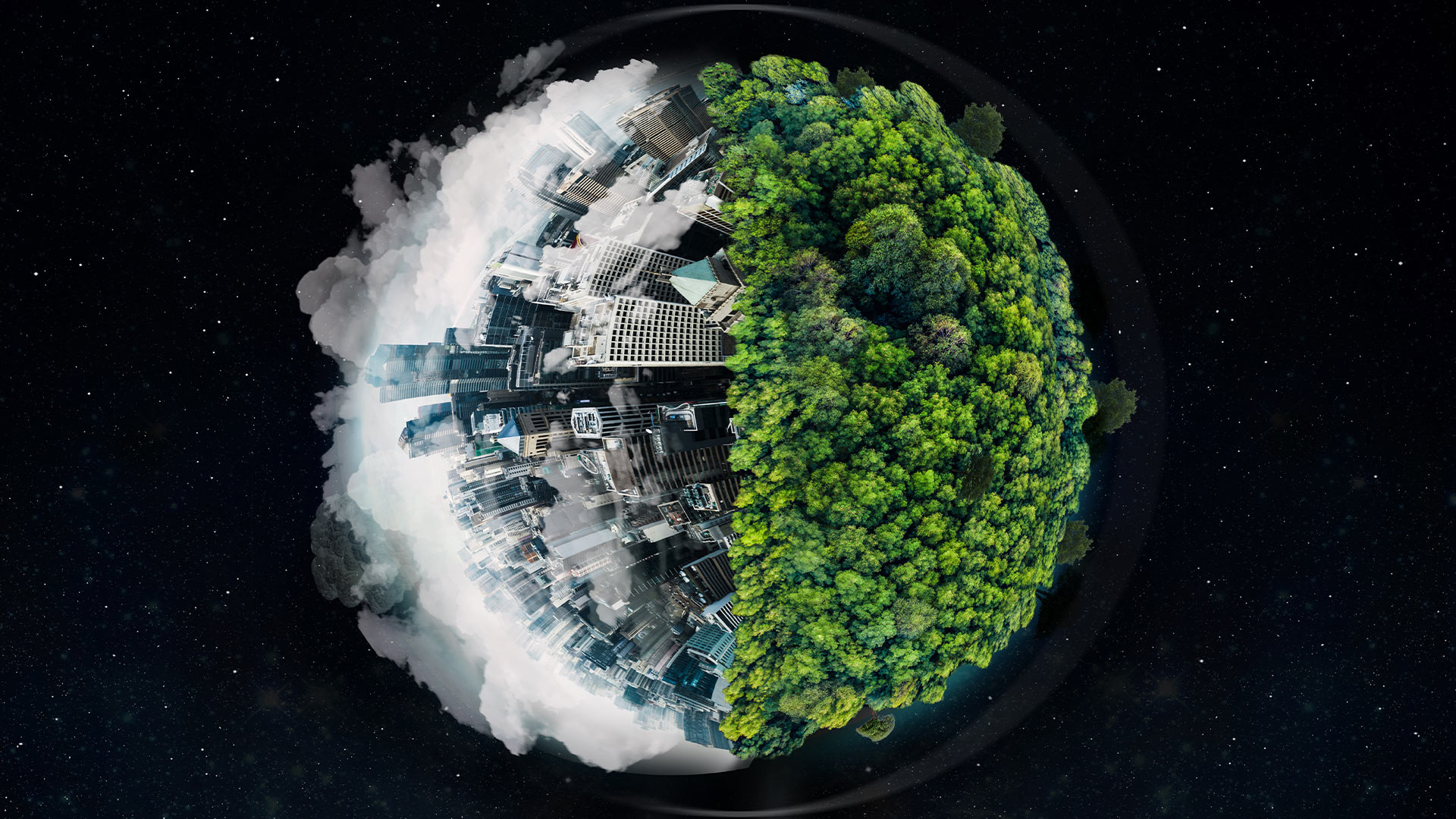 Unternehmerische Nachhaltigkeit - In4mo